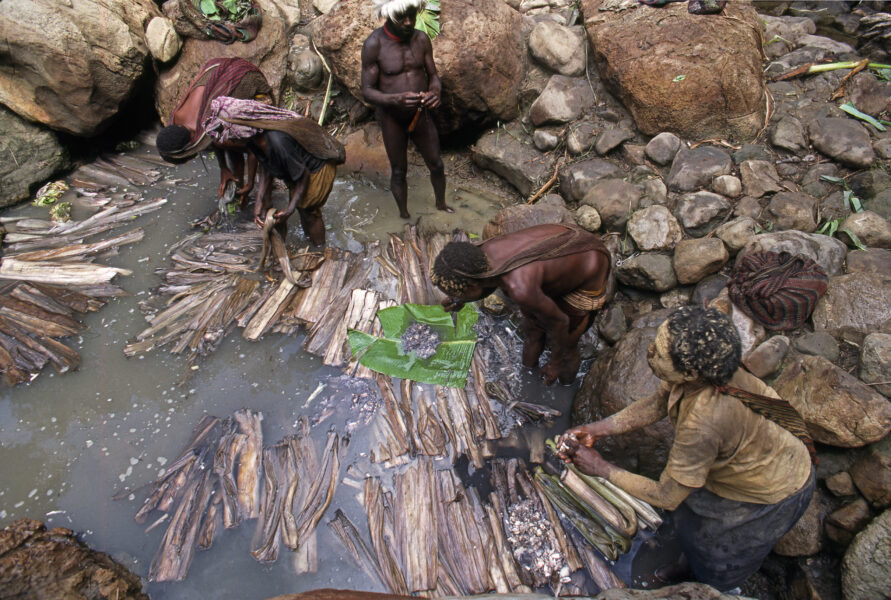 Finding Salt in Brine Pools – ROBERT SEMENIUK